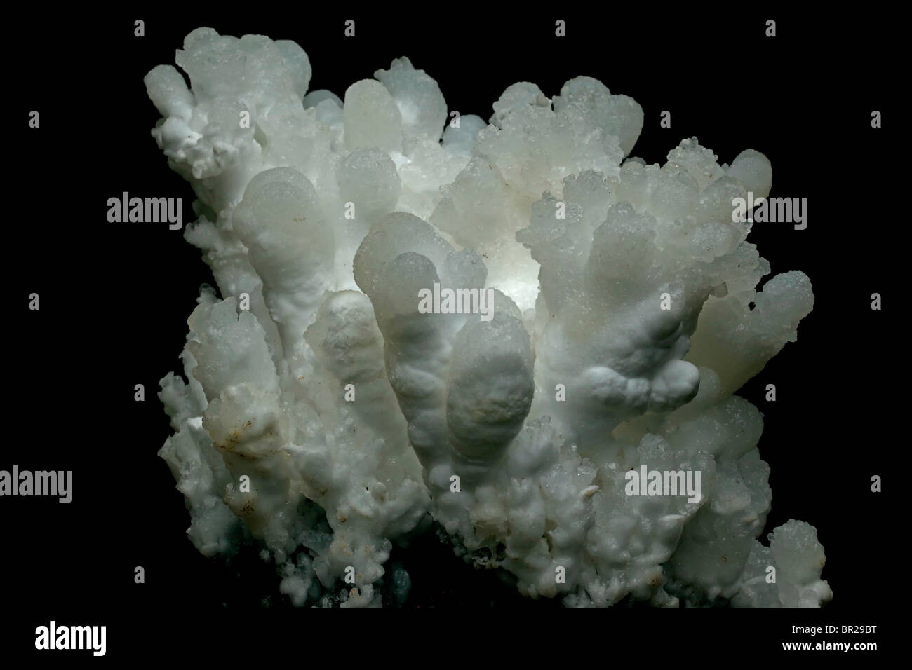 Aragonite - A common carbonate mineral showing naturally occurring ...
