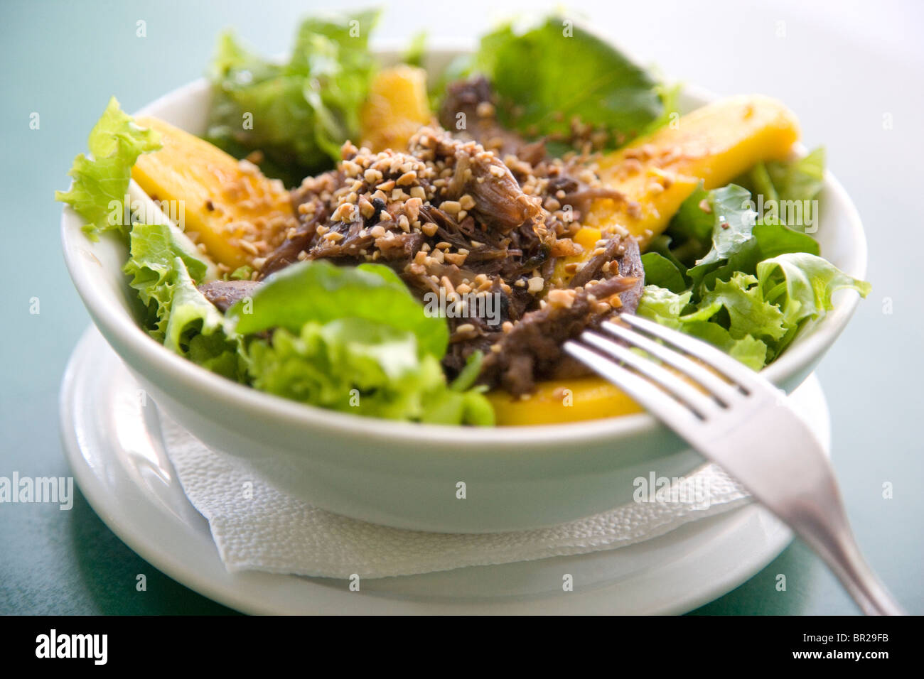 Pato de color hi-res stock photography and images - Alamy