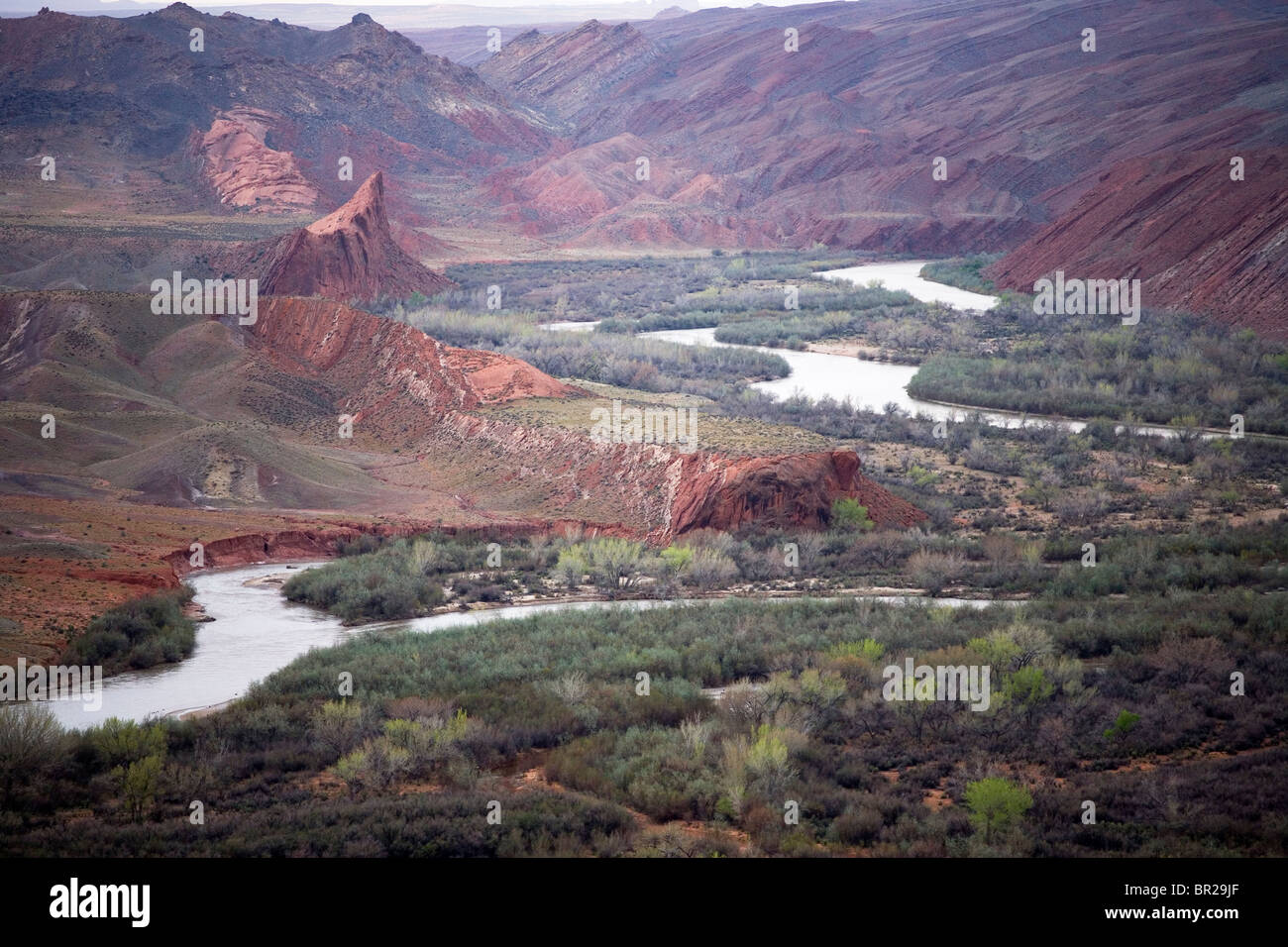 The San Juan river winds its way through the Comb ridge area in Utah ...
