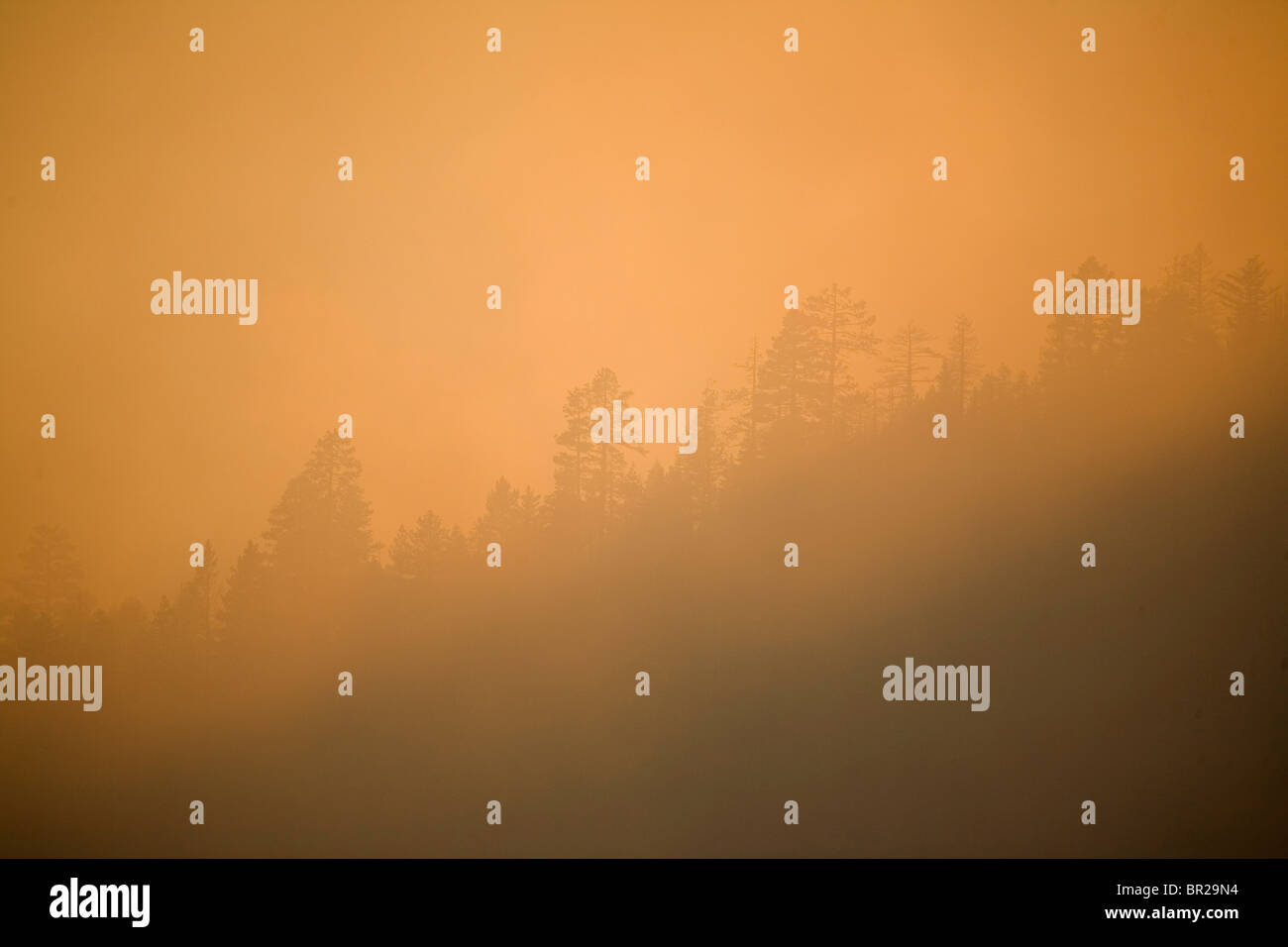 Angora Fire in South Lake Tahoe, CA Stock Photo - Alamy