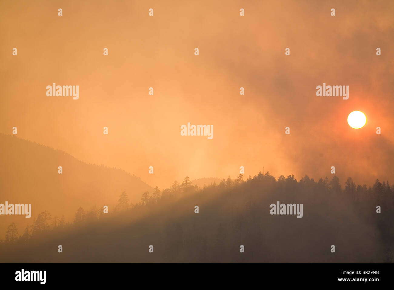 Angora Fire in South Lake Tahoe, CA Stock Photo - Alamy