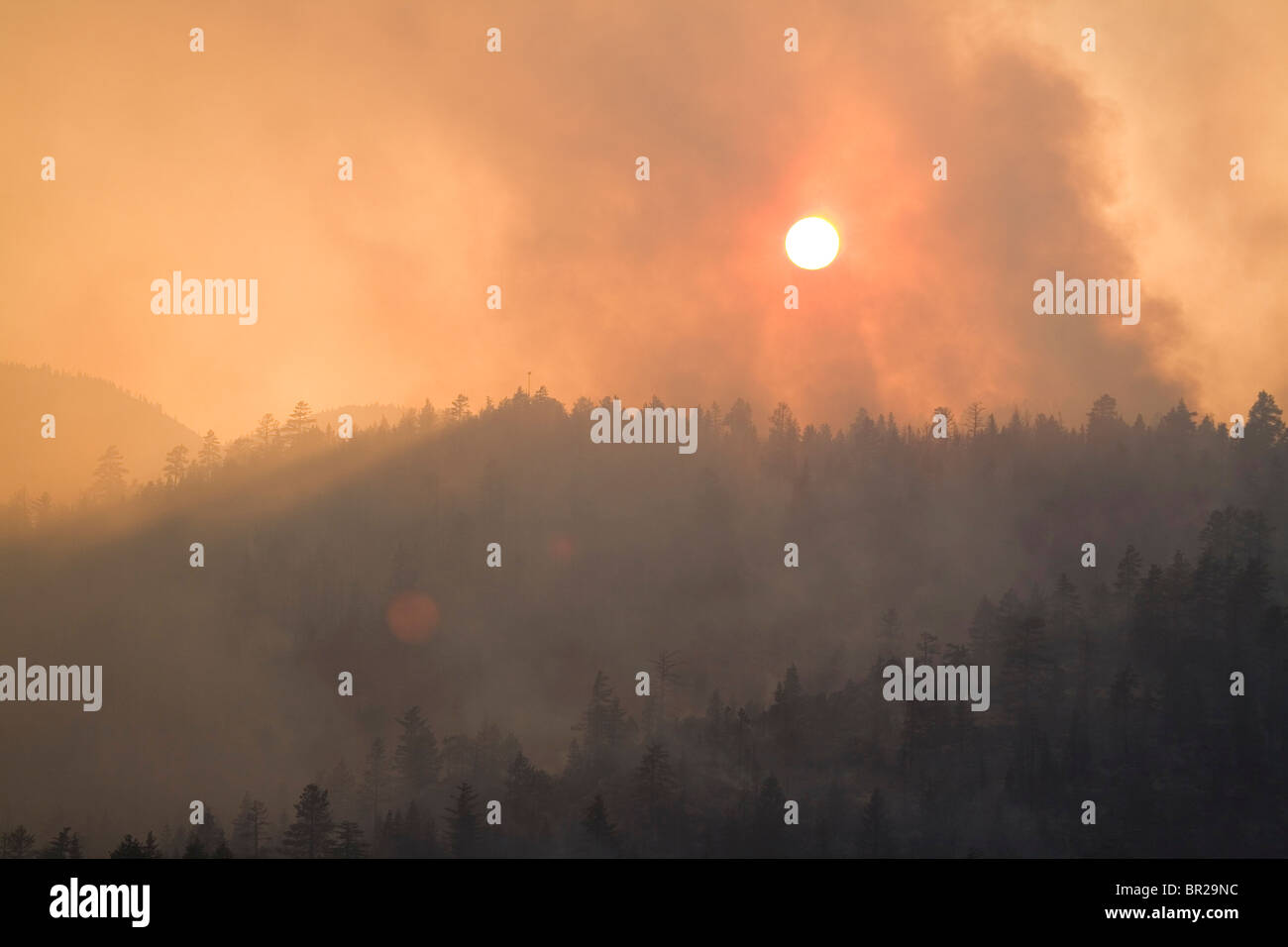 Angora Fire in South Lake Tahoe, CA Stock Photo - Alamy