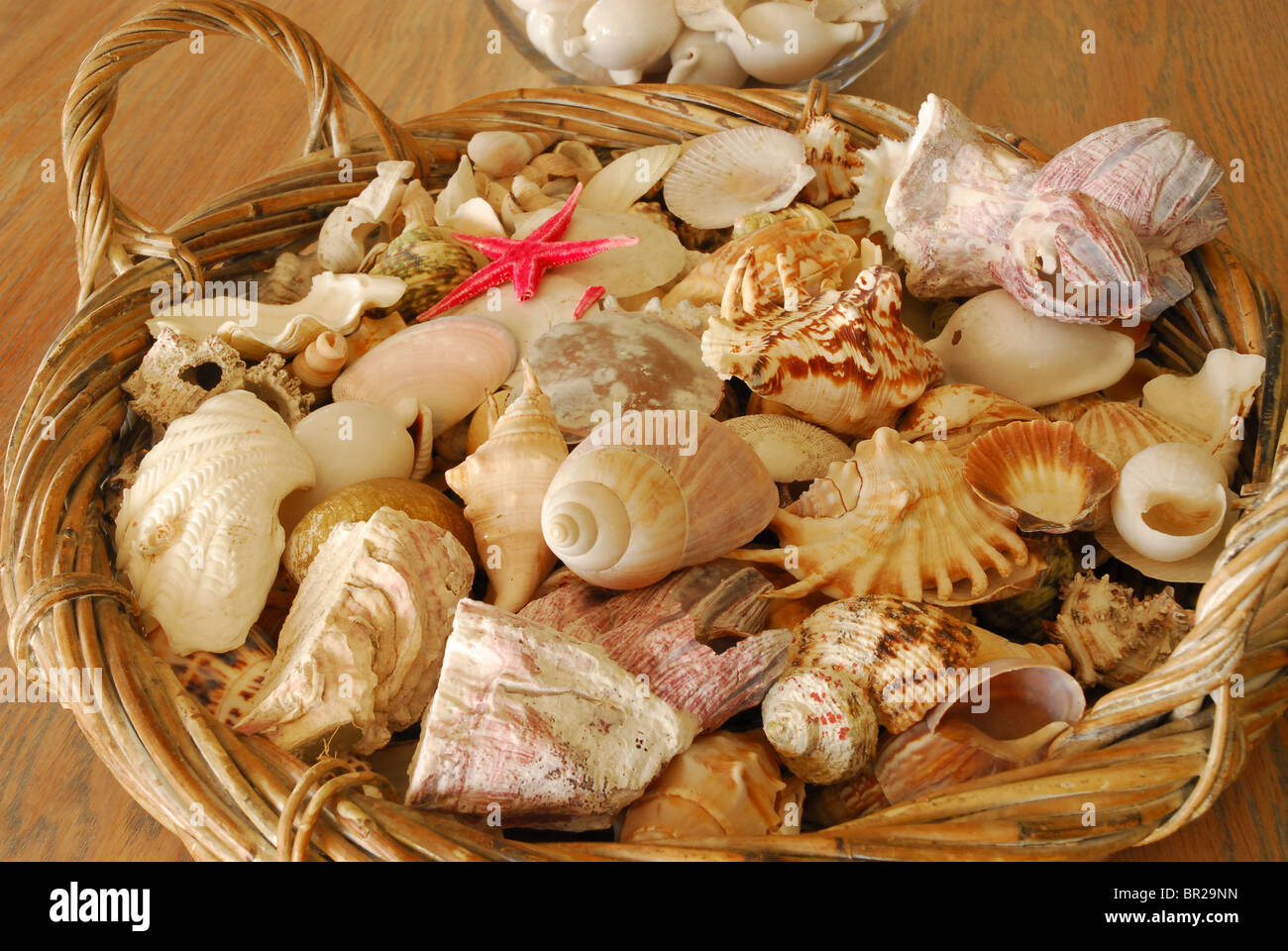 Basket of sea shells Stock Photo - Alamy