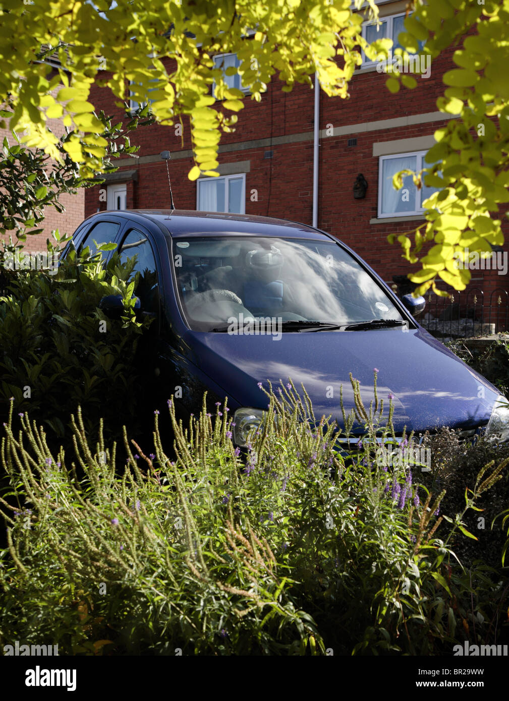 Car over Garden Wall Stock Photo - Alamy
