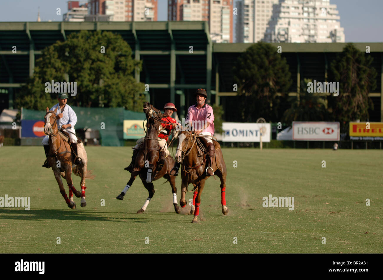 Pato Argentina Horse High Resolution Stock Photography and Images - Alamy