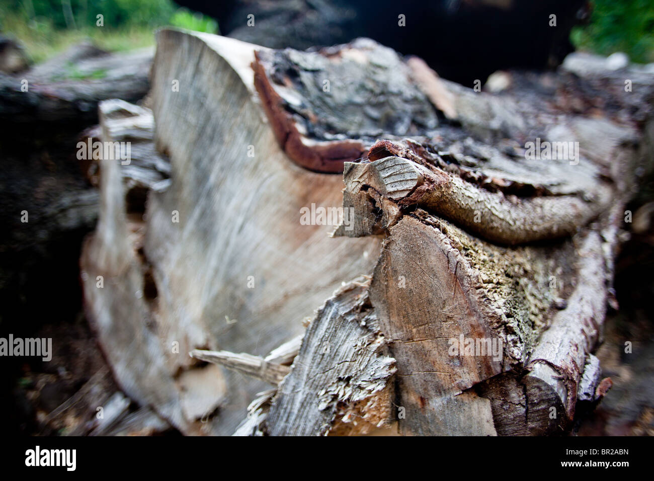 Infected town hi-res stock photography and images - Alamy