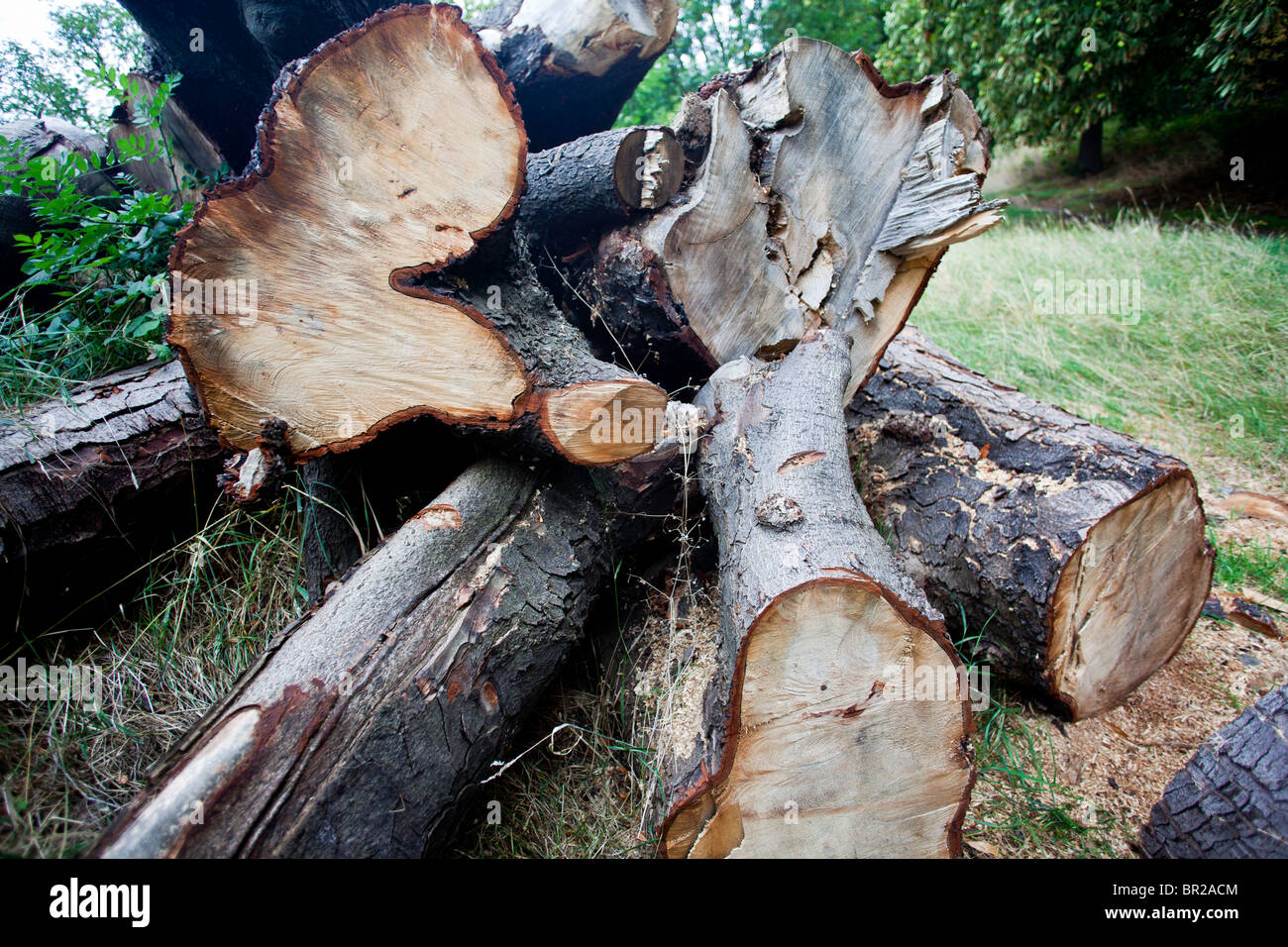 Infected town hi-res stock photography and images - Alamy