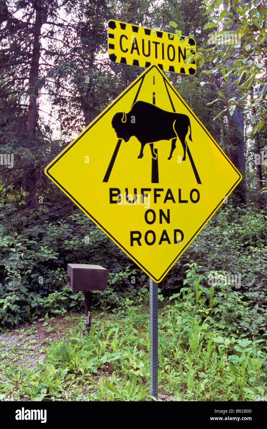 Warning Road Sign, Caution Signs - Buffalo (Bison bison) Animal ...
