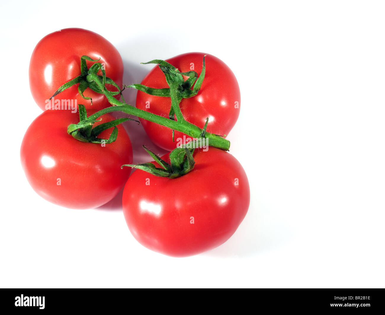 Ripe organic shiny red tomatoes on a bright background Stock Photo - Alamy