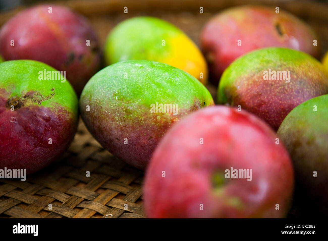 Mango for sale at an outdoor market in Maui, Hawaii Stock Photo - Alamy