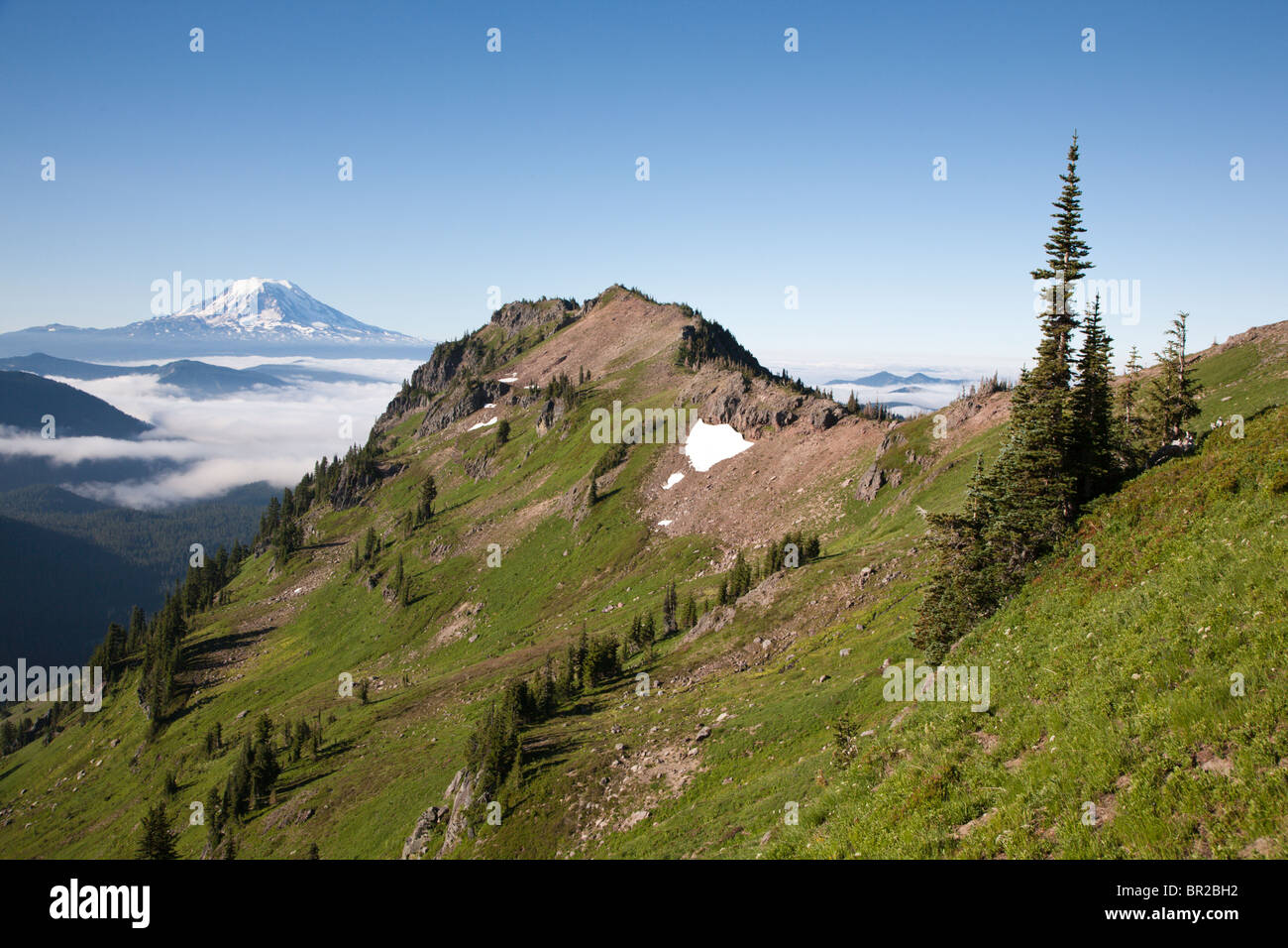 Mount Adams from the Goat Rocks Wilderness, Gifford Pinchot National ...