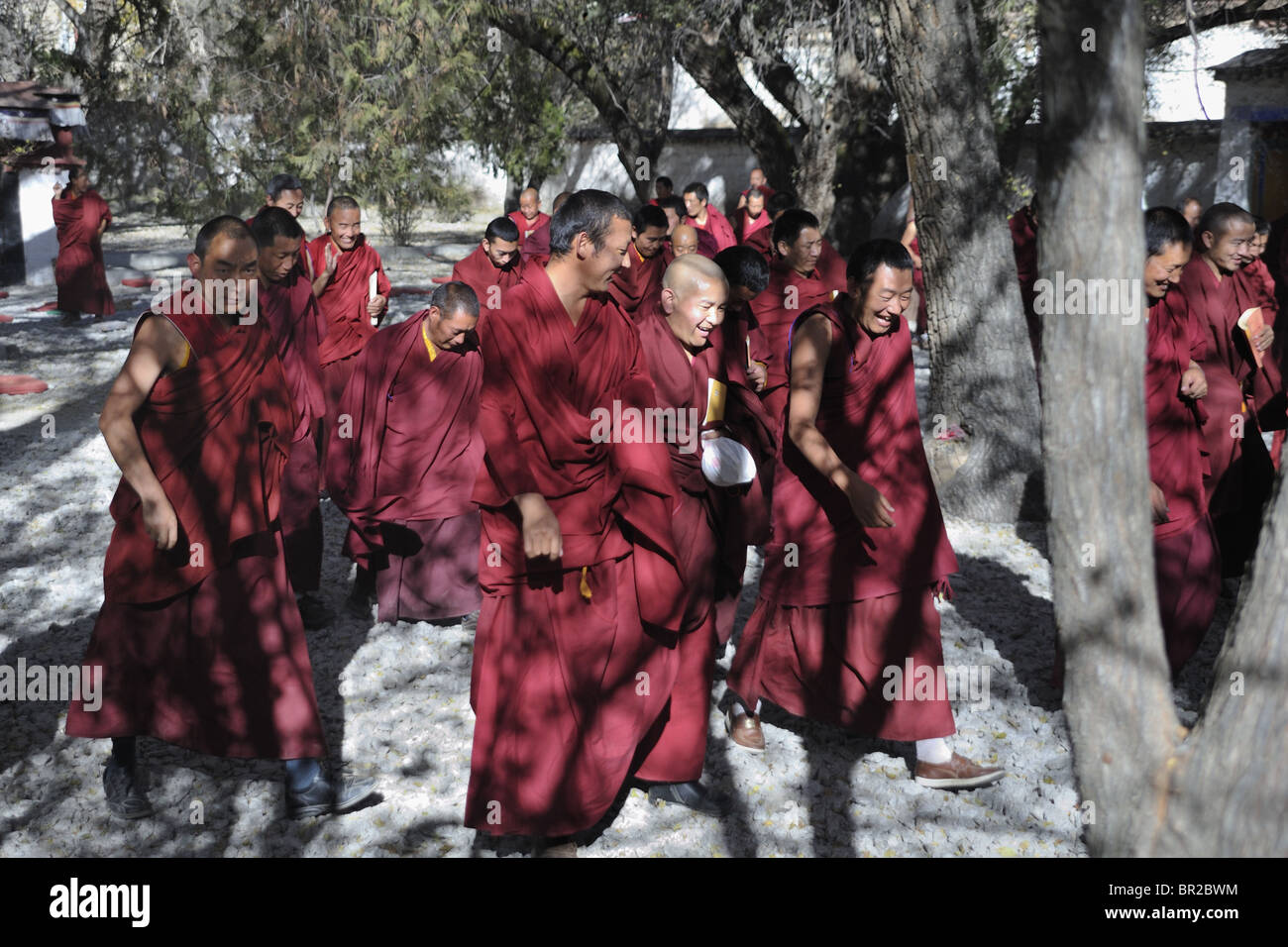 Monks leaving debate, Sera Monastery, Lhasa, Tibet Stock Photo - Alamy