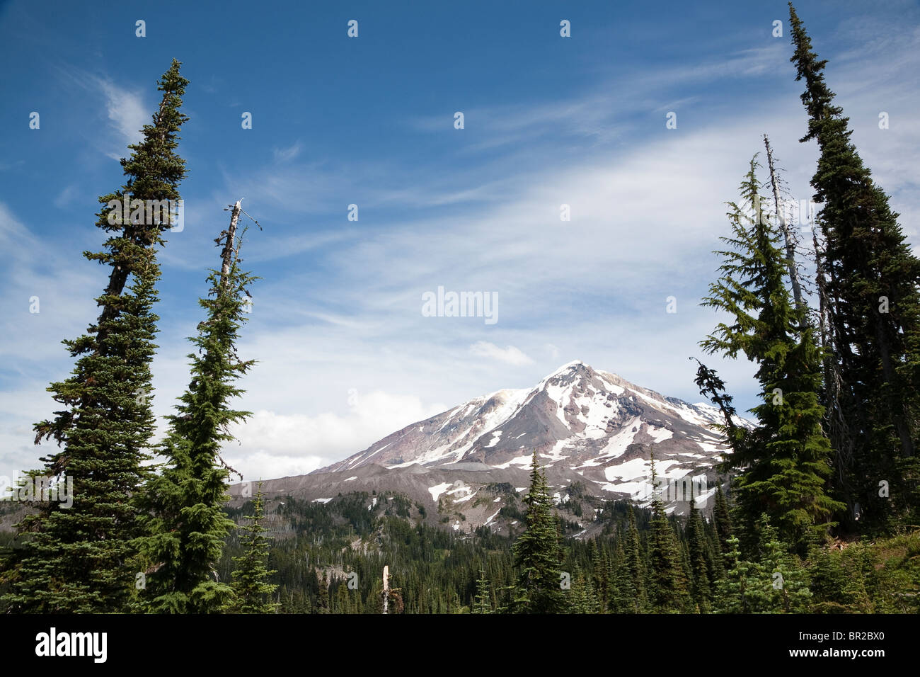 Mount Adams northwest flank from the Pacific Crest Trail, Mount Adams ...