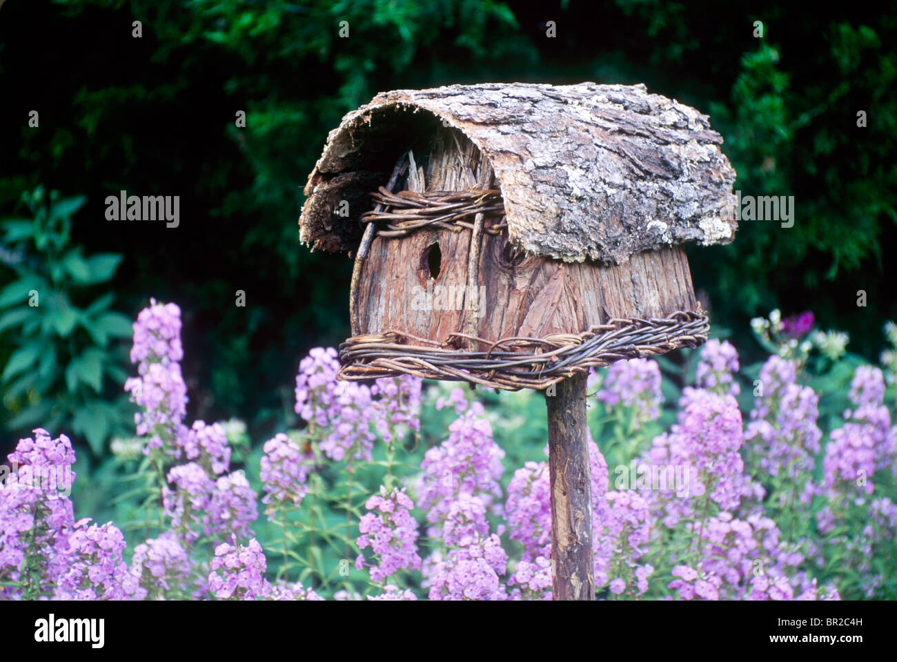 Handmade bark and woven birdbox, birdhouse, front view fancy set in ...