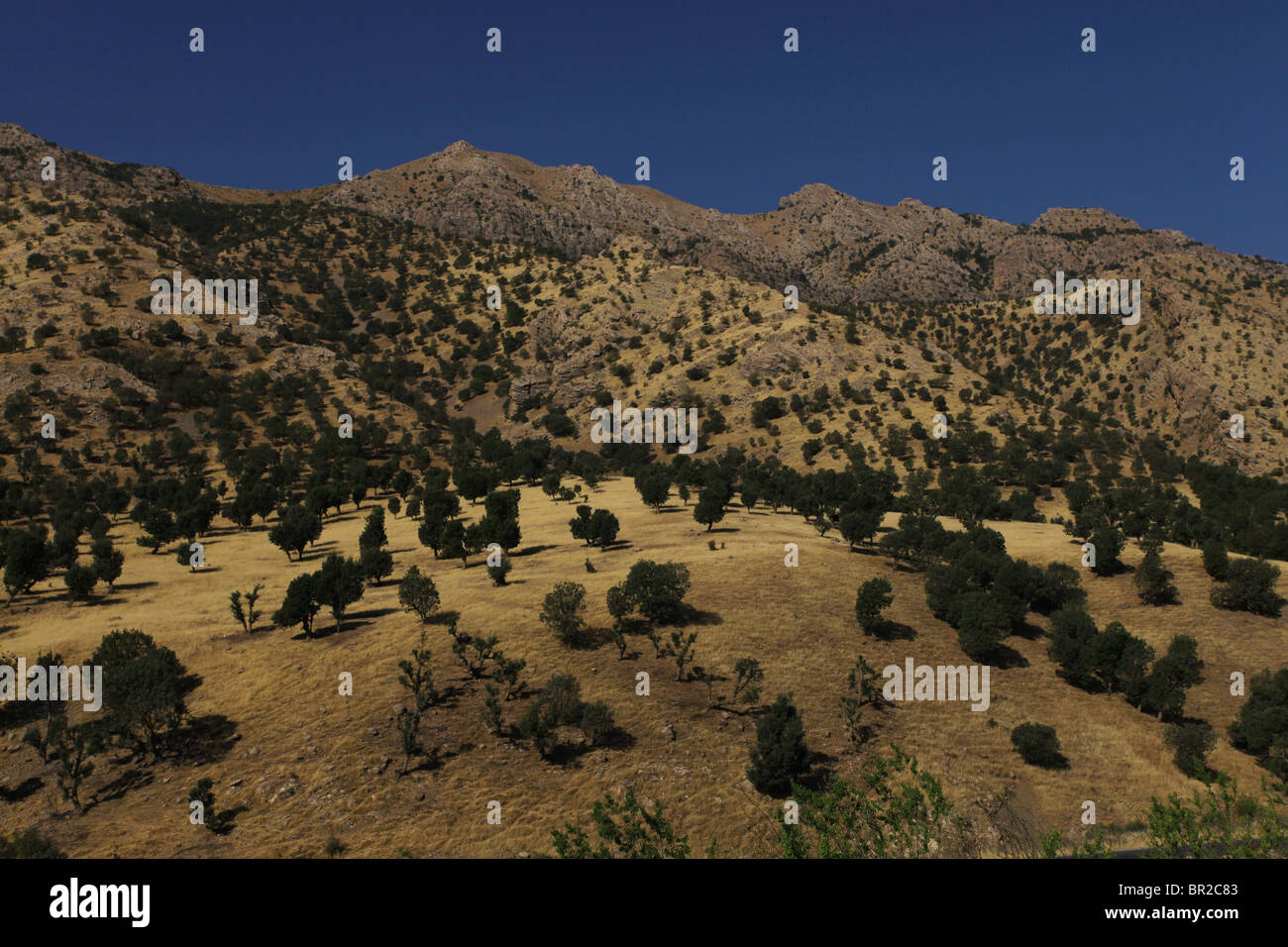 Terrain organization hi-res stock photography and images - Alamy