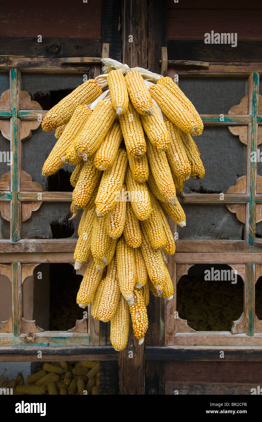 Corn hangs to dry on rooftop of ethnic Tibetan Dong Po family, Zhonglu ...