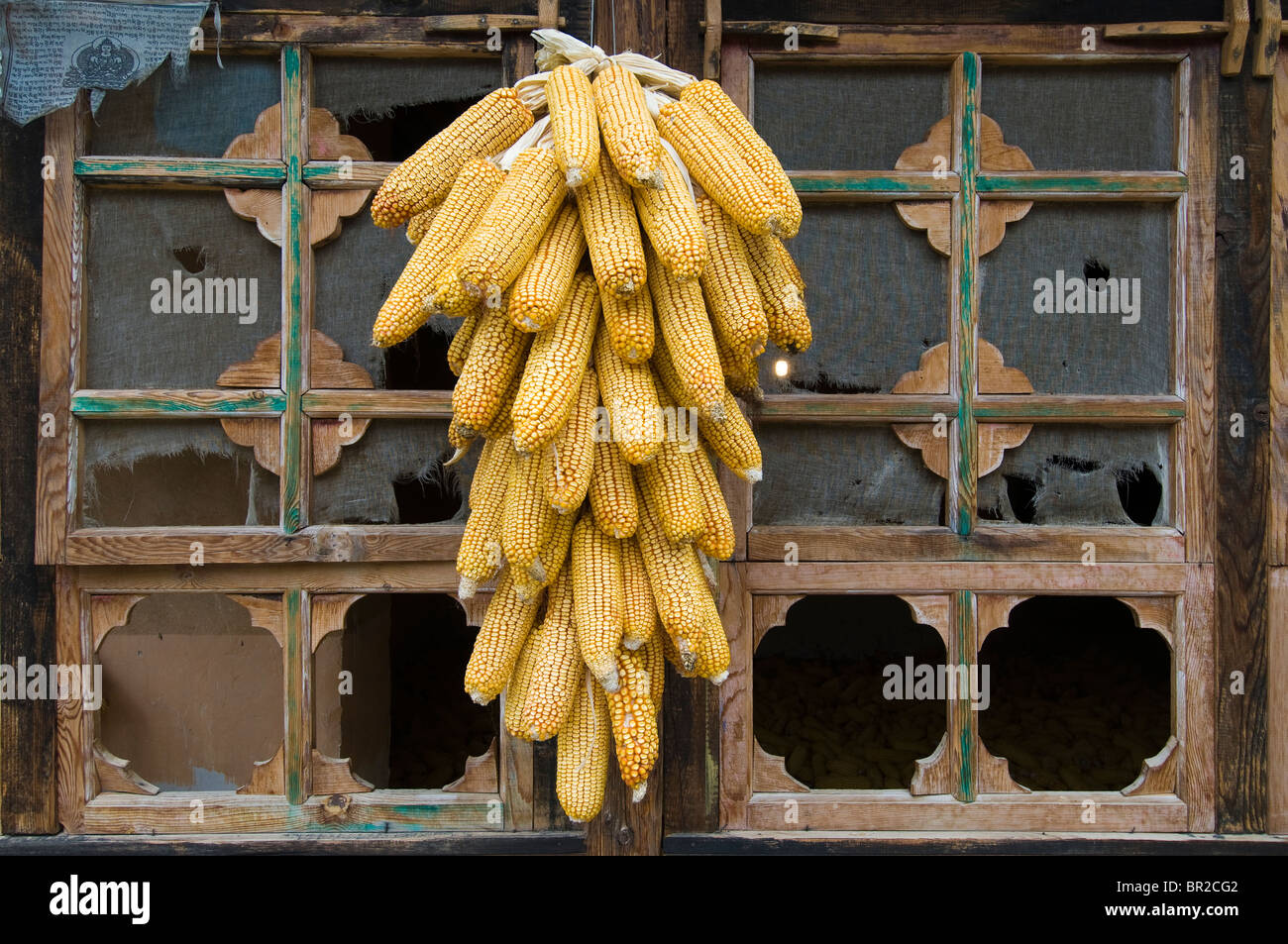 Dried corn door hi-res stock photography and images - Alamy