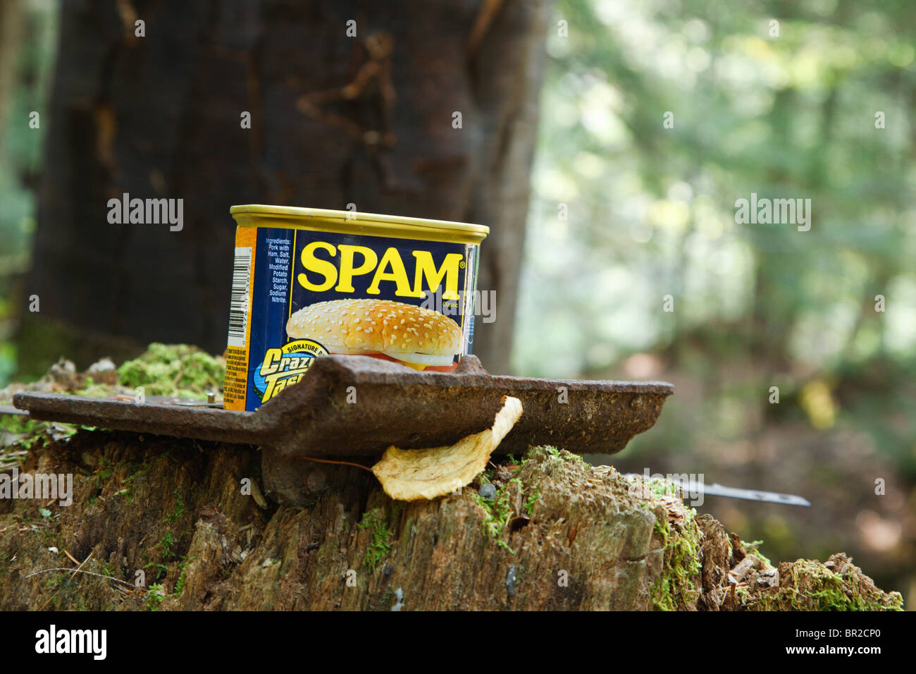Campsite trash along the Sawyer River Trail in the White Mountains, New ...