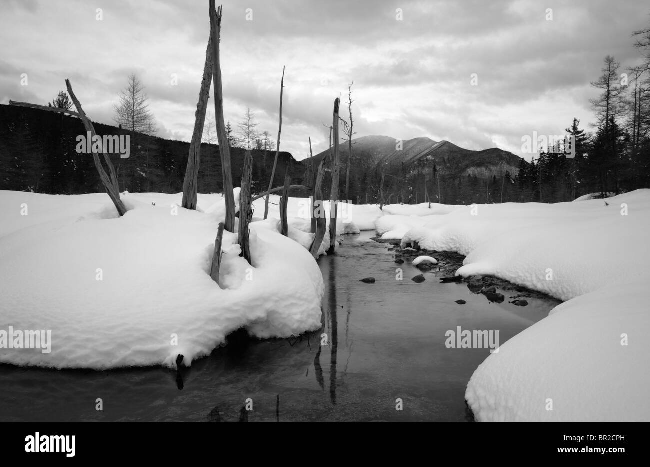 Meadow Brook during the winter months. Located along the Sawyer River ...