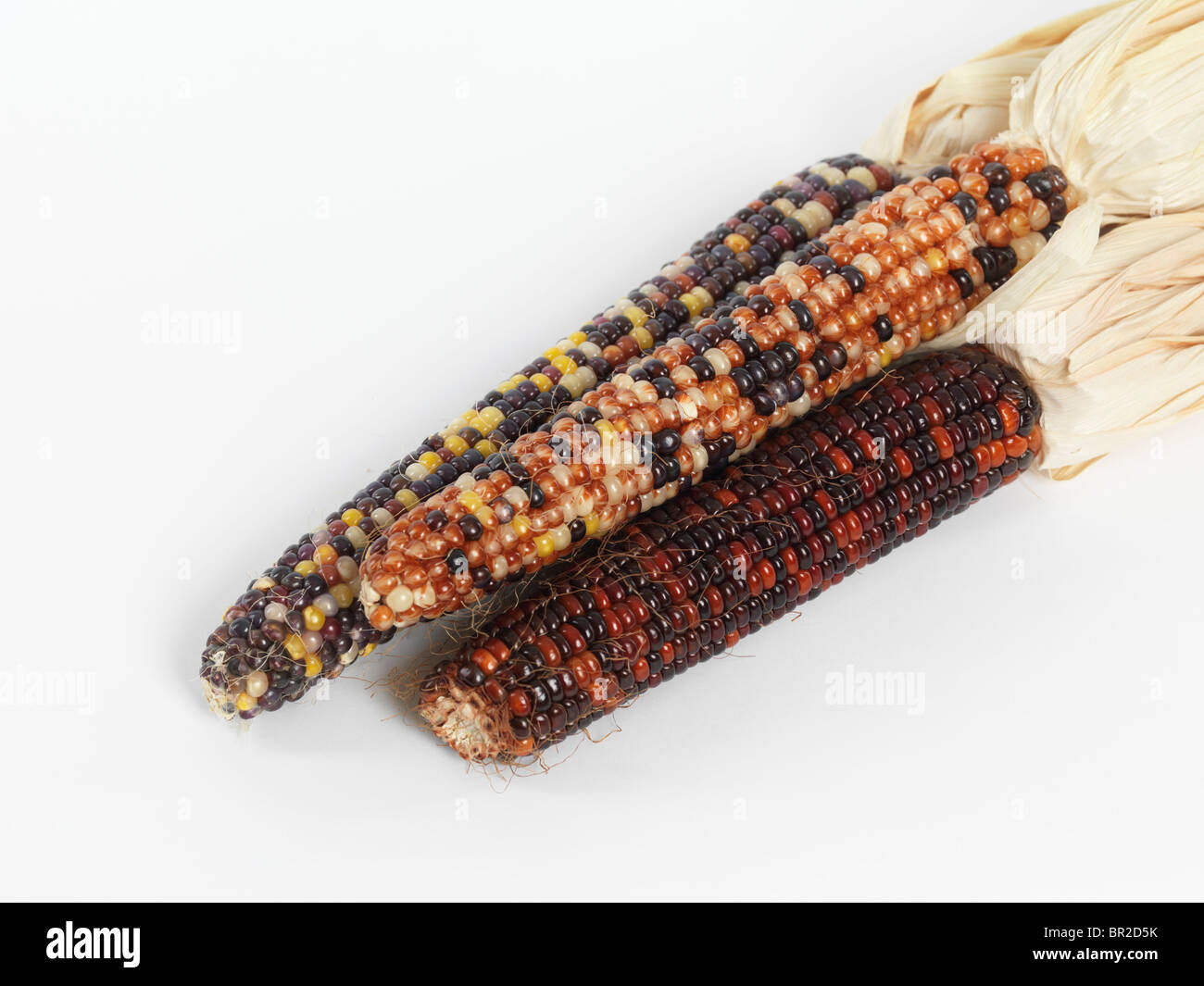 Indian corn hi-res stock photography and images - Alamy