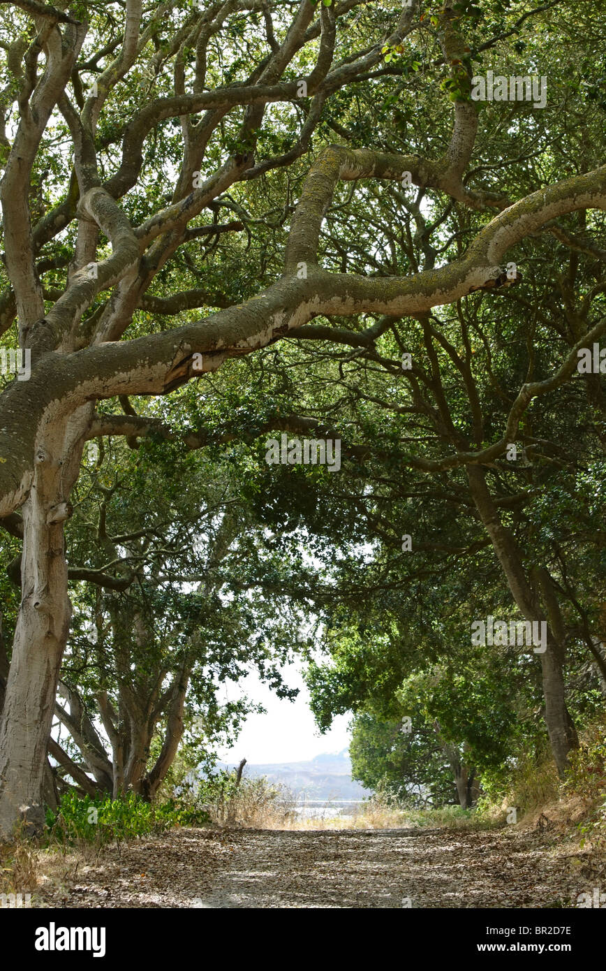 Tidal Slough High Resolution Stock Photography and Images - Alamy