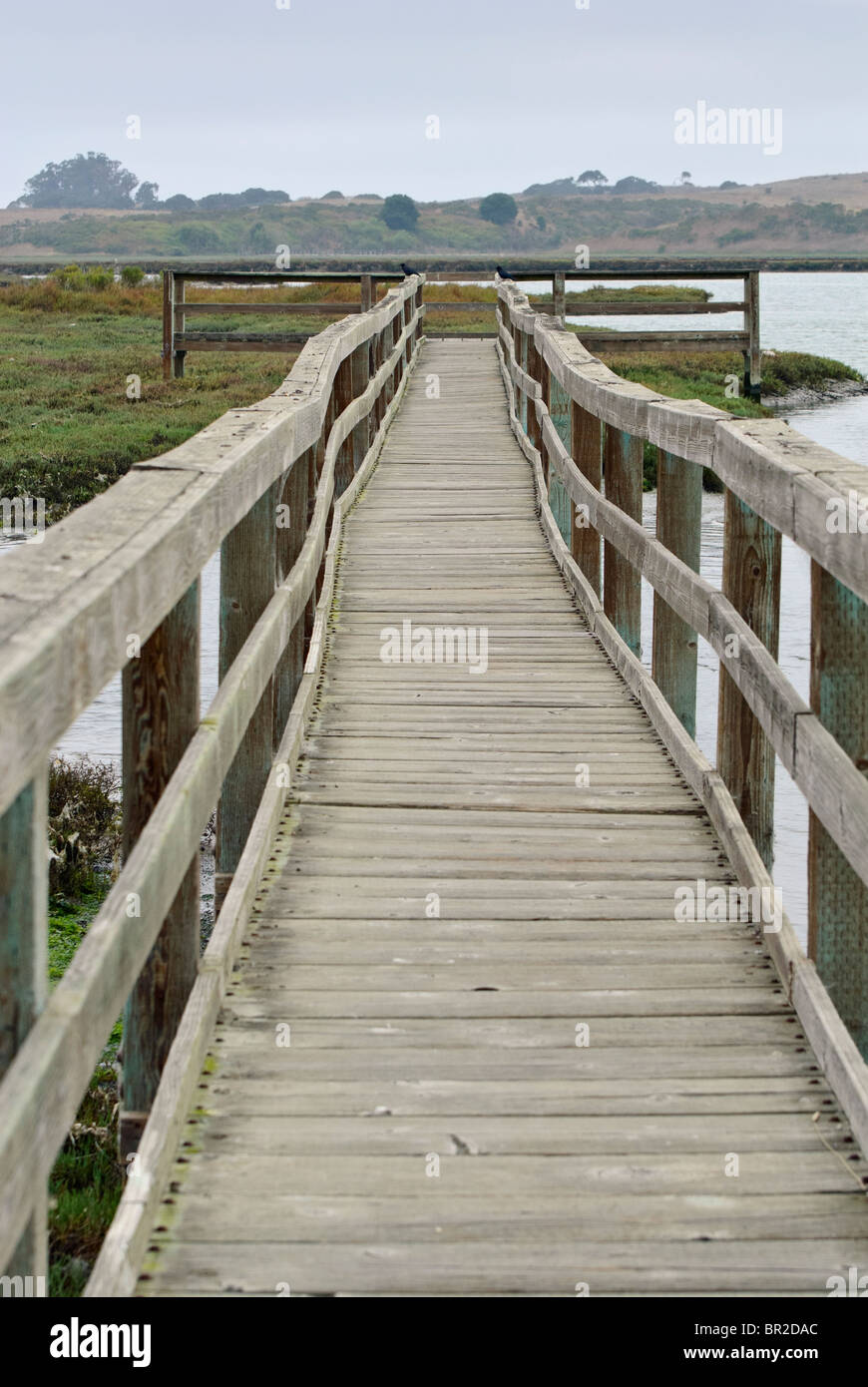 Wooden pier in the Elkhorn Slough, a tidal estuary Stock Photo - Alamy