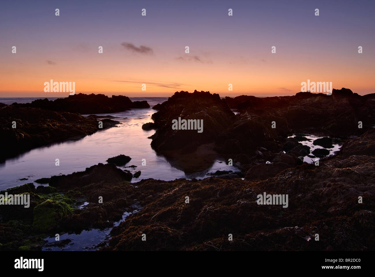 Rocky Asilomar Beach in Monterey Bay at sunset Stock Photo - Alamy