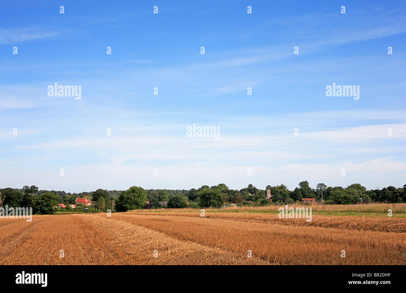 After harvest scene at Saxlingham Nethergate, Norfolk, England, United ...