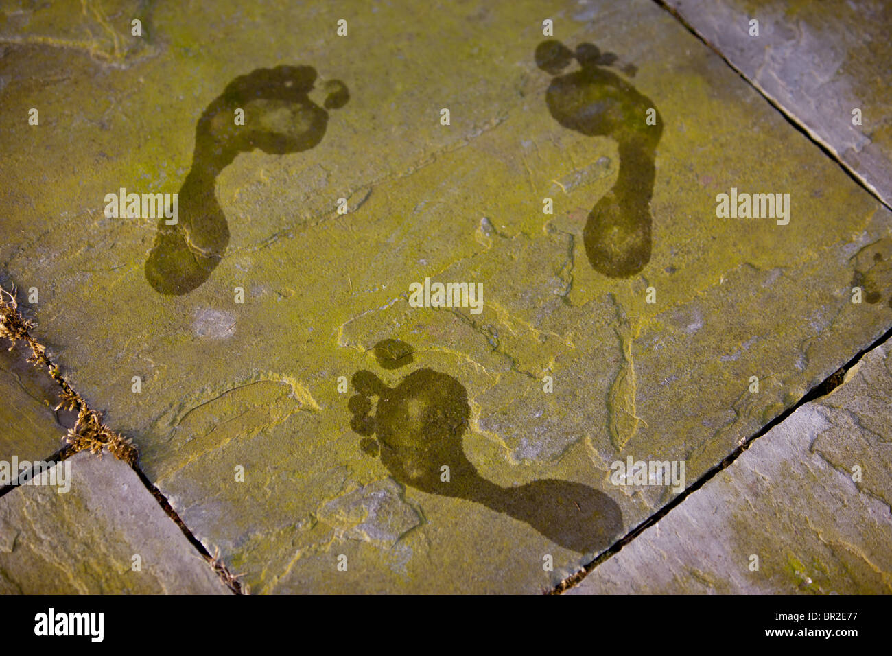 Three wet footprints on a paving stone Stock Photo - Alamy