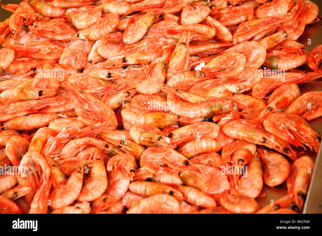 Plate pineapple shrimp seafood hi-res stock photography and images - Alamy