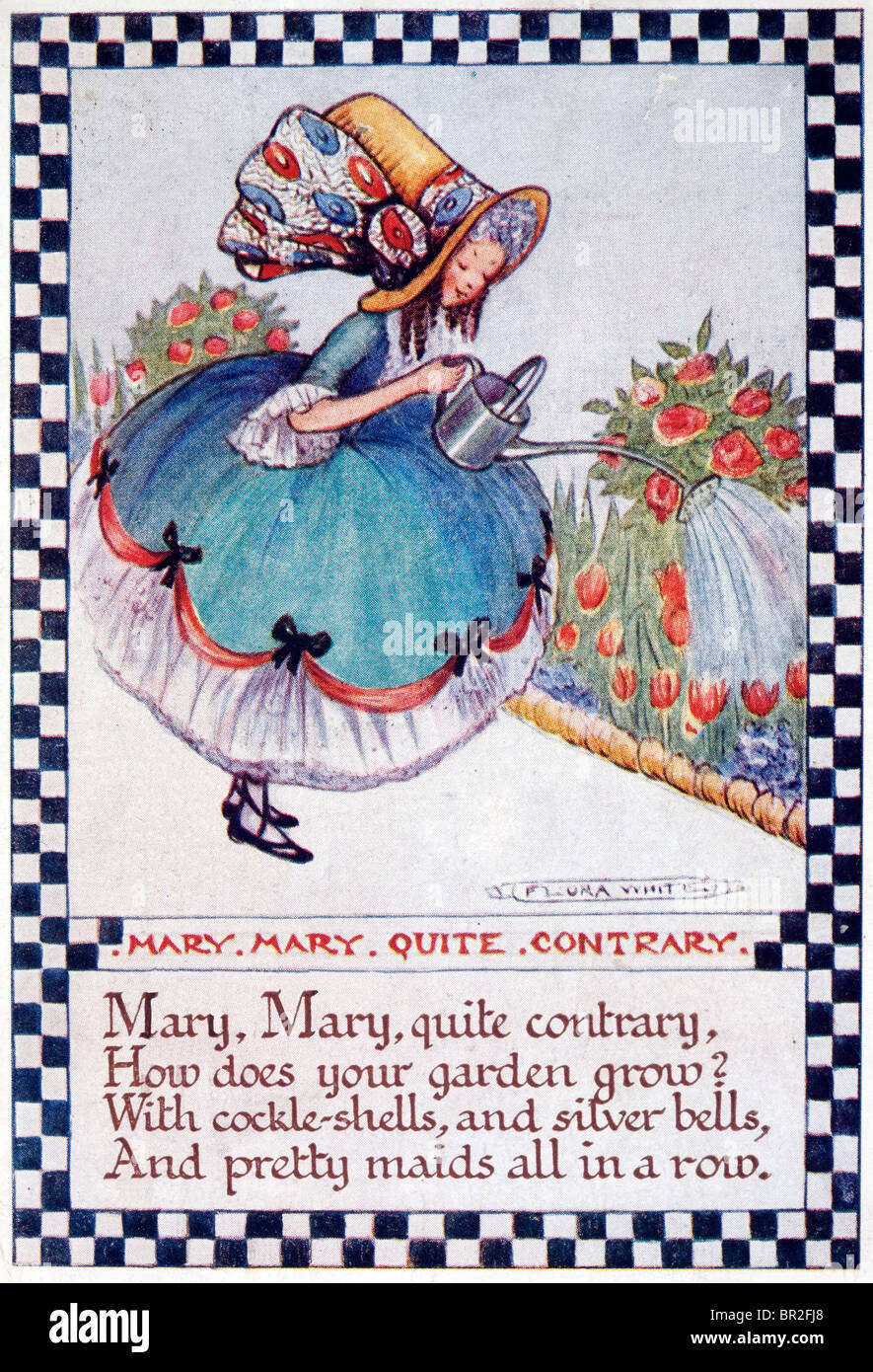 Mary Mary Quite Contrary Weed