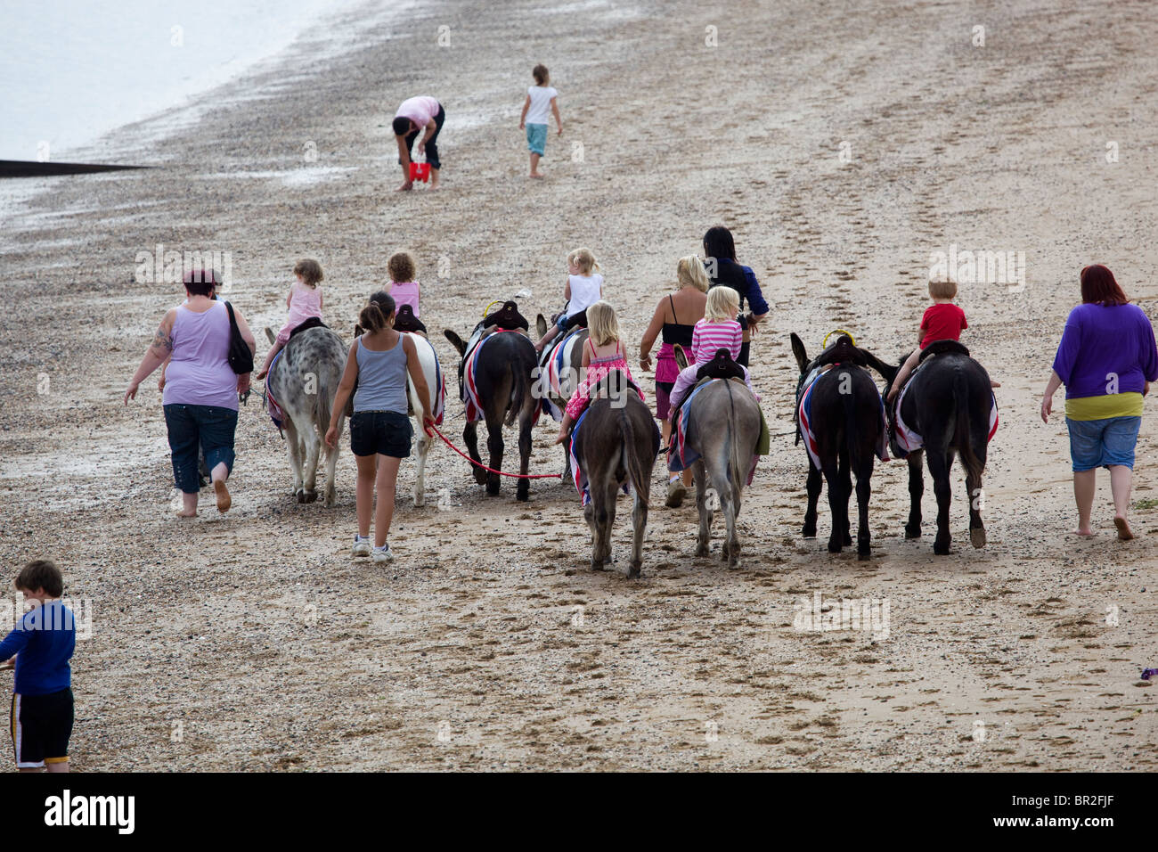 Donkey Rides on the beach Cleethorpes North East Lincolnshire Stock ...