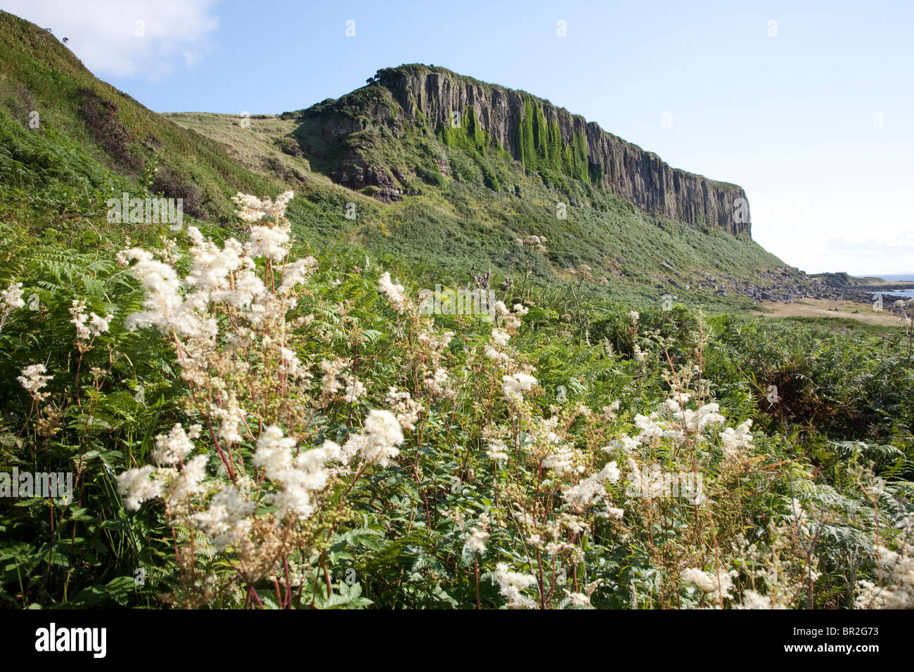 Cliffs at Drumadoon Point, Isle of Arran, Scotland Stock Photo - Alamy