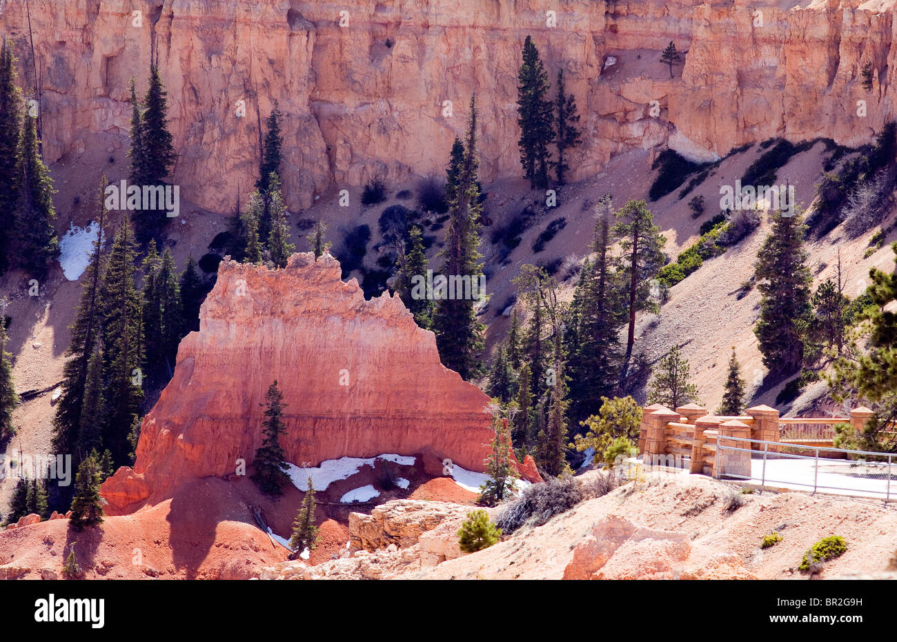 Utah ecology hi-res stock photography and images - Alamy