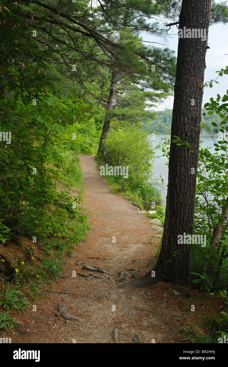 Hiking Trail around Pink Lake in Gatineau Park, Gatineau Quebec Canada ...