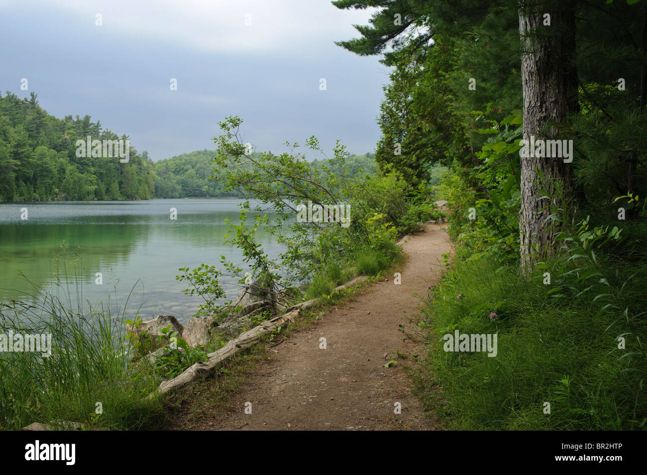 Hiking Trail around Pink Lake in Gatineau Park, Gatineau Quebec Canada ...