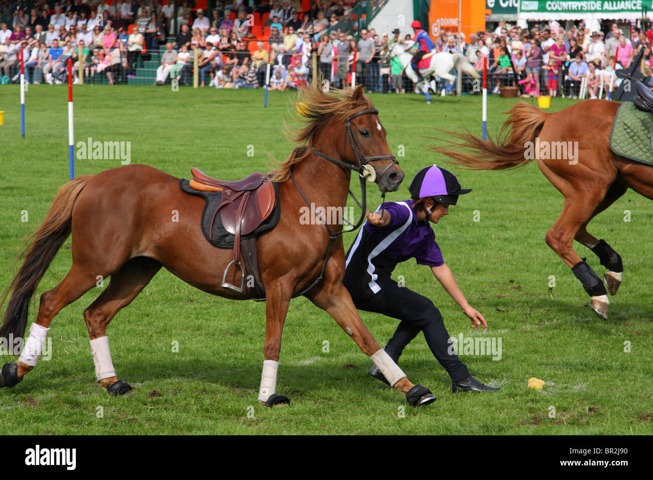 Pony club racing at the Chatsworth Game Fair, Derbyshire, England, U.K ...