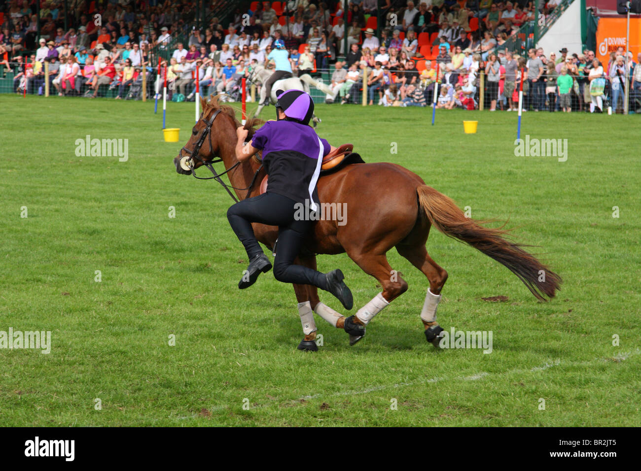 Pony club racing at the Chatsworth Game Fair, Derbyshire, England, U.K ...