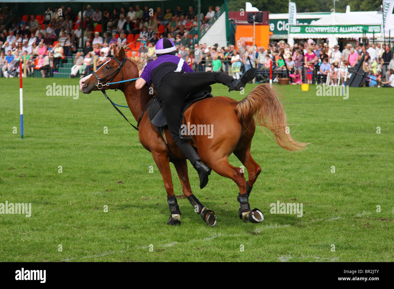 Pony club racing at the Chatsworth Game Fair, Derbyshire, England, U.K ...