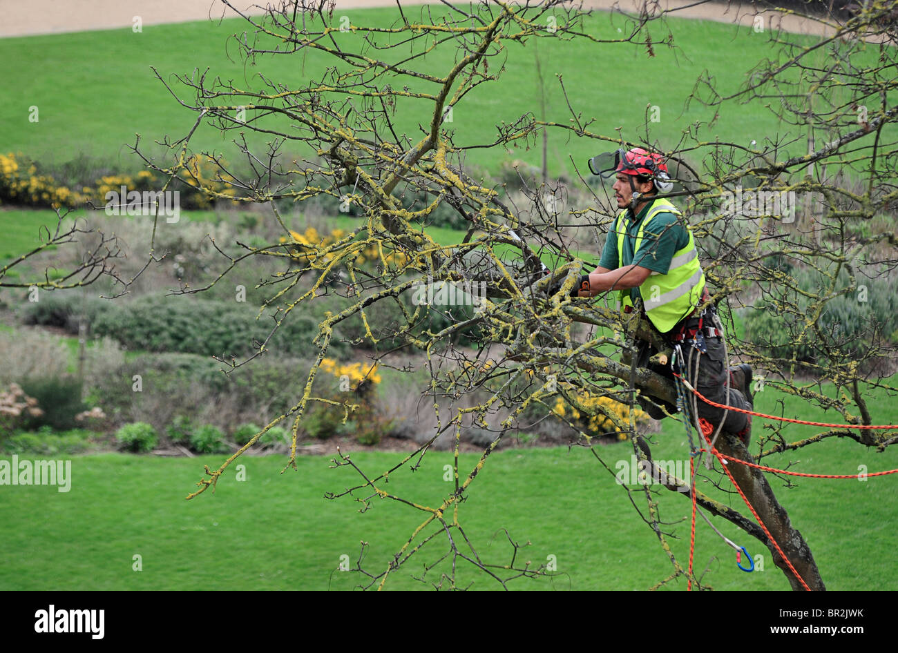 Loose branches hi-res stock photography and images - Alamy