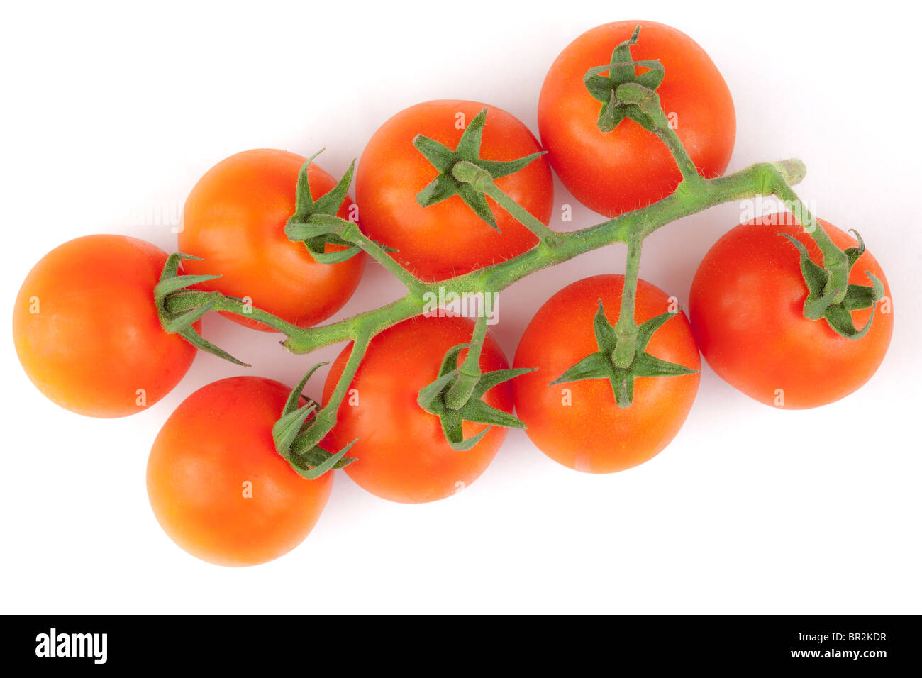Tomatoes vine cutout hi-res stock photography and images - Alamy