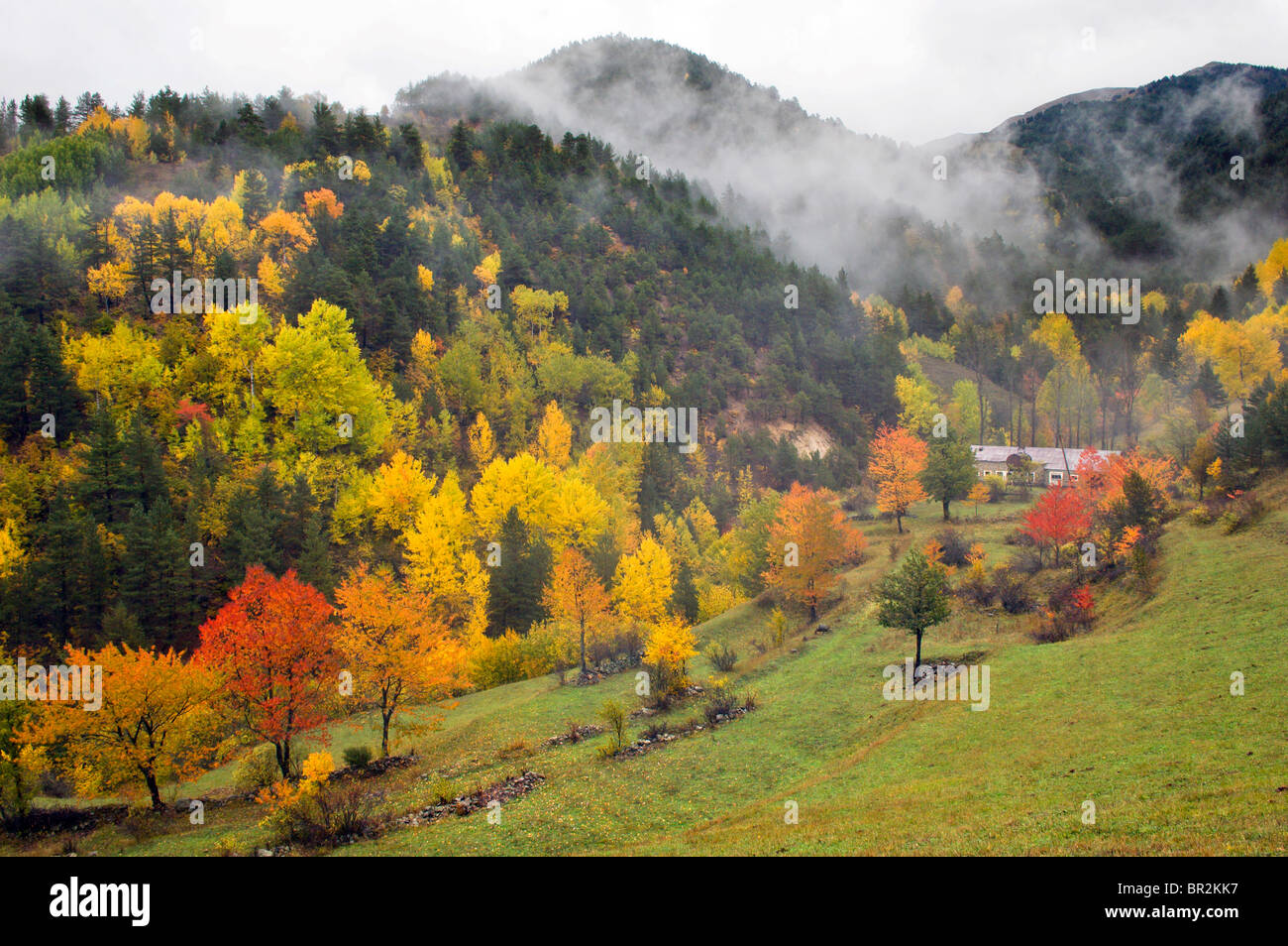 Fall colours in Blacksea region of Turkey,Trabzon Stock Photo - Alamy