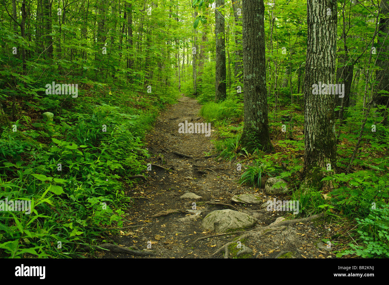 Champlain lookout hi-res stock photography and images - Alamy