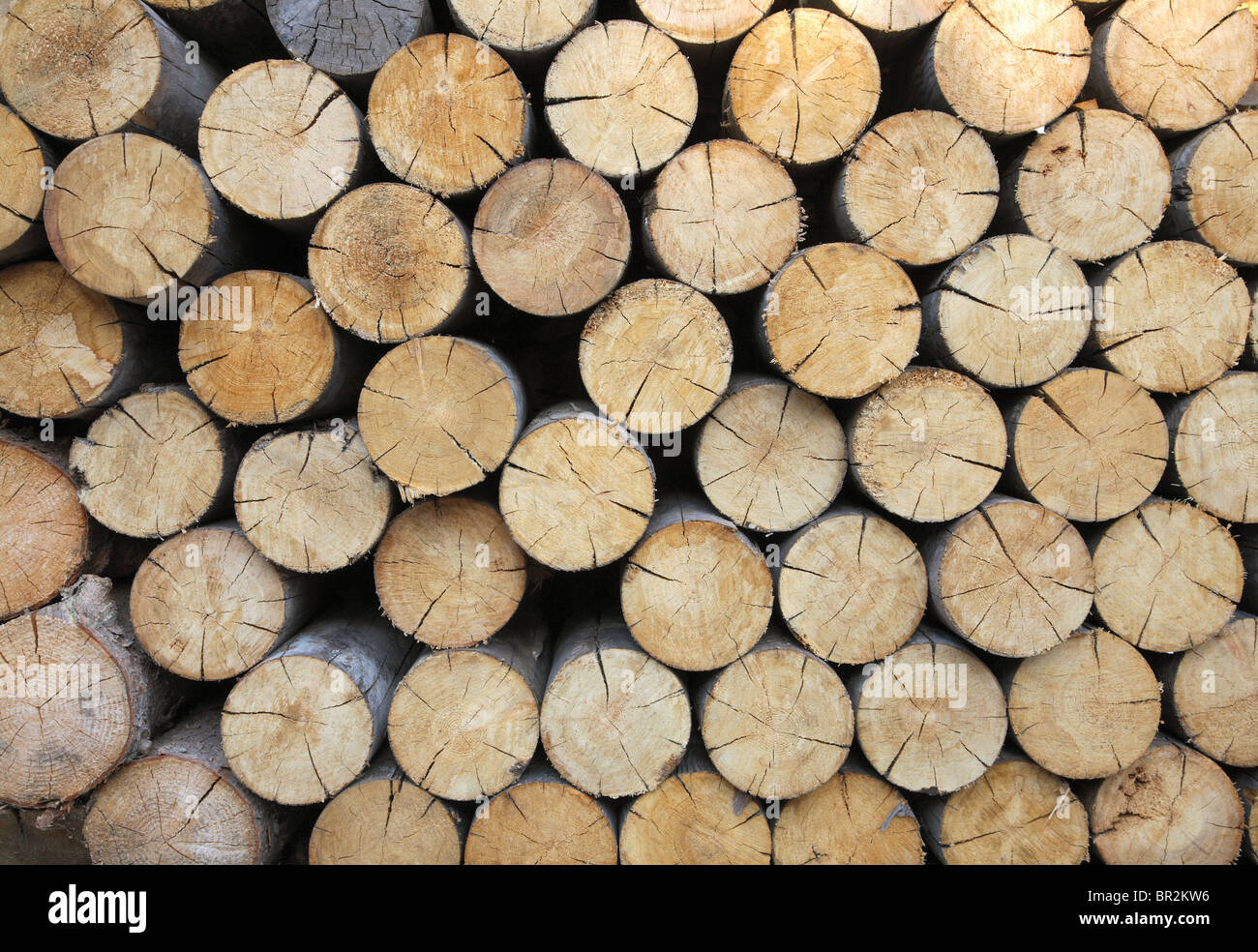 Stack of logs Stock Photo - Alamy