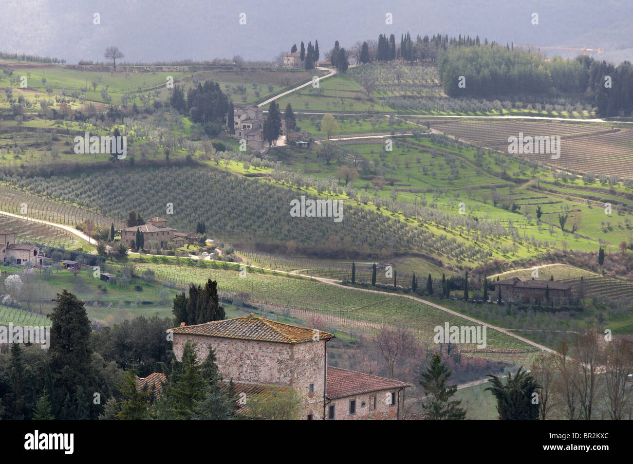 Typical Tuscany landscape with farmhouse olive grove vineyard and ...
