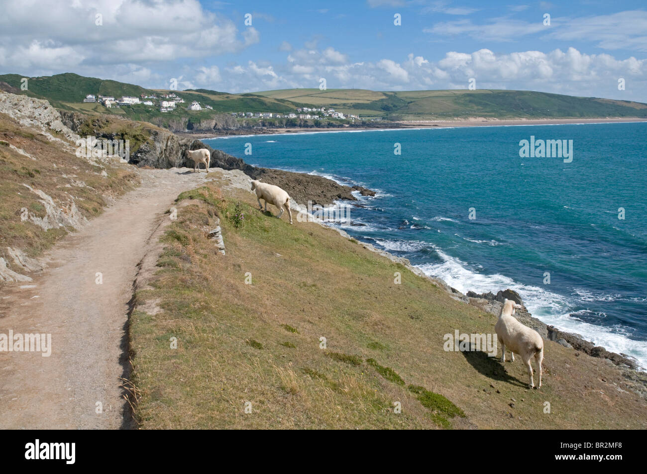 Devon coast path hi-res stock photography and images - Alamy