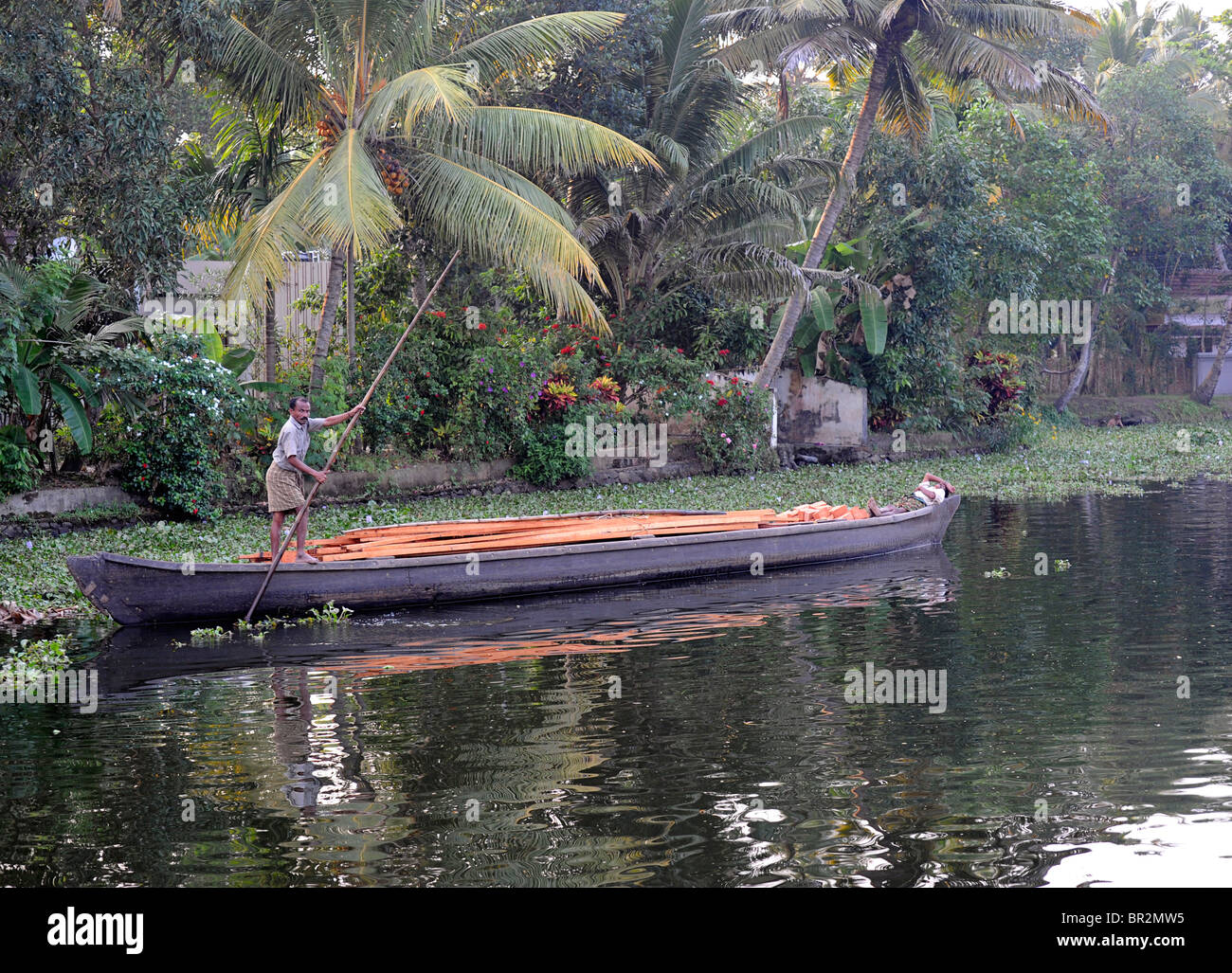 Indian man punting in kerala hi-res stock photography and images - Alamy
