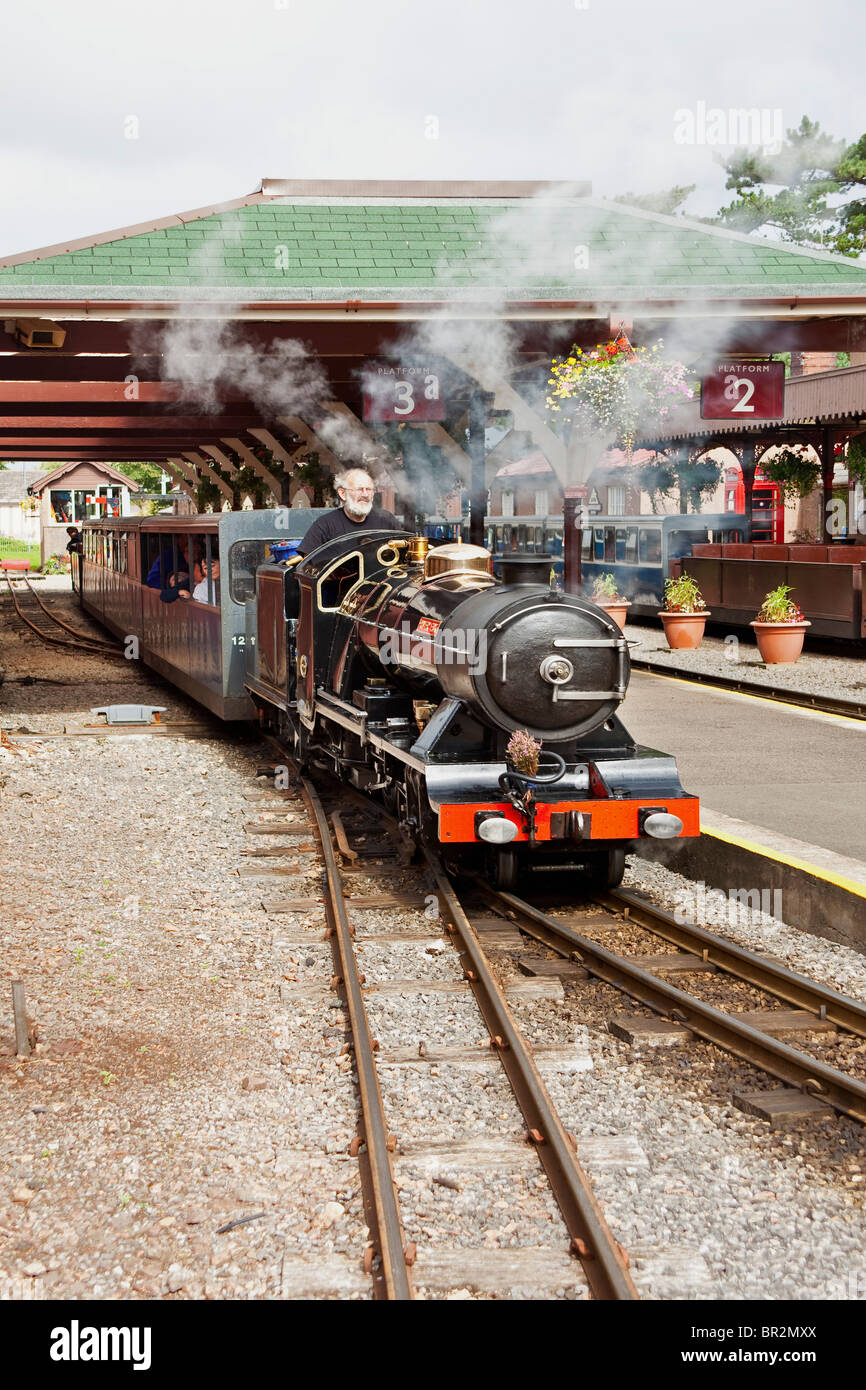 Miniature steam locomotive hi-res stock photography and images - Alamy