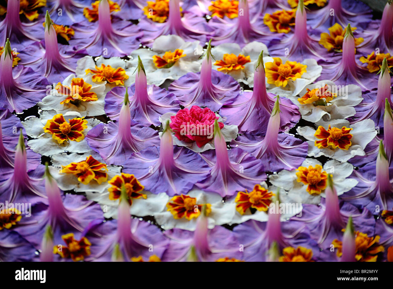 Flower arrangement floating in water, Kerala, India Stock Photo - Alamy