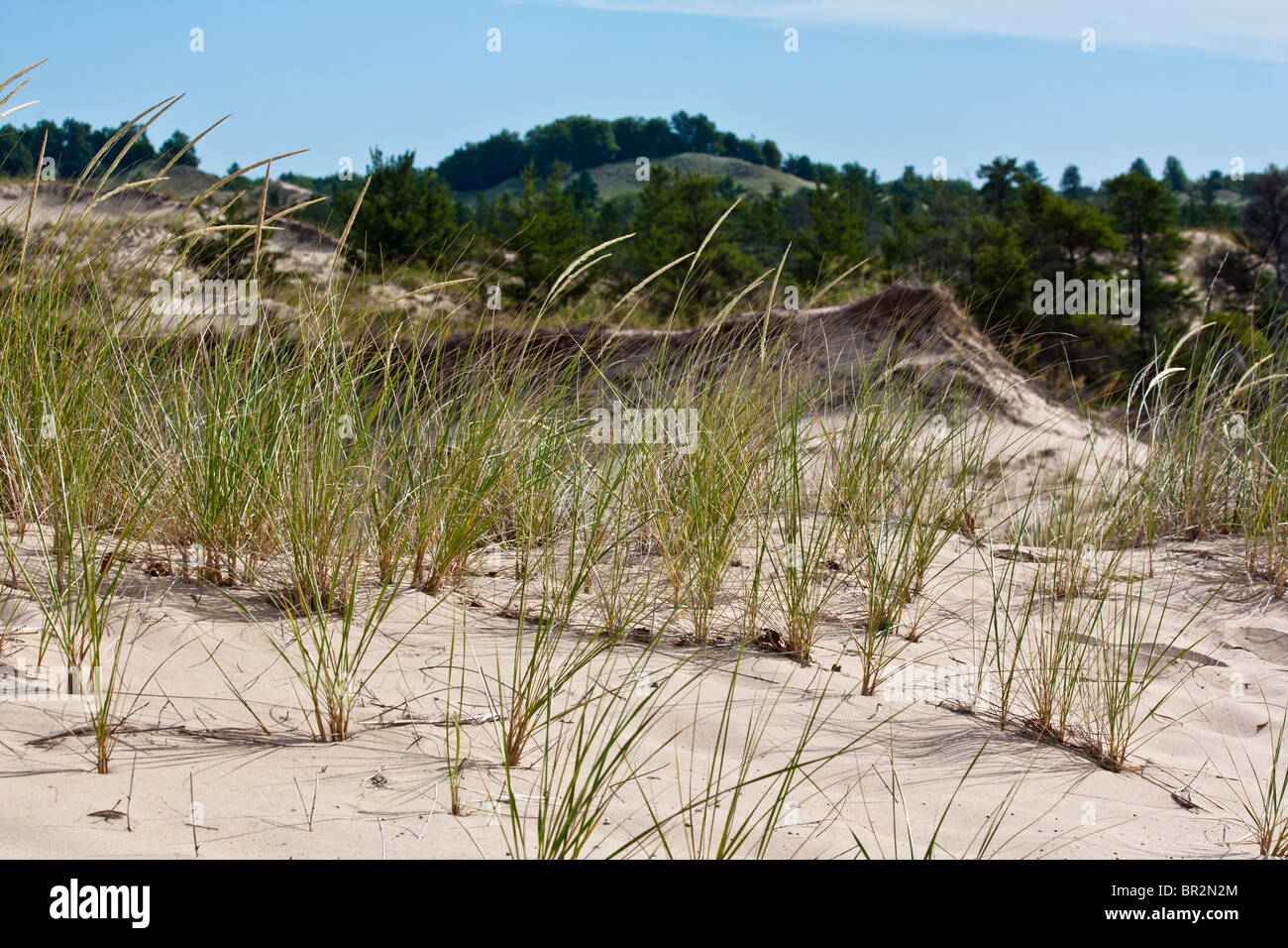 Silver lake sand dunes michigan hi-res stock photography and images - Alamy